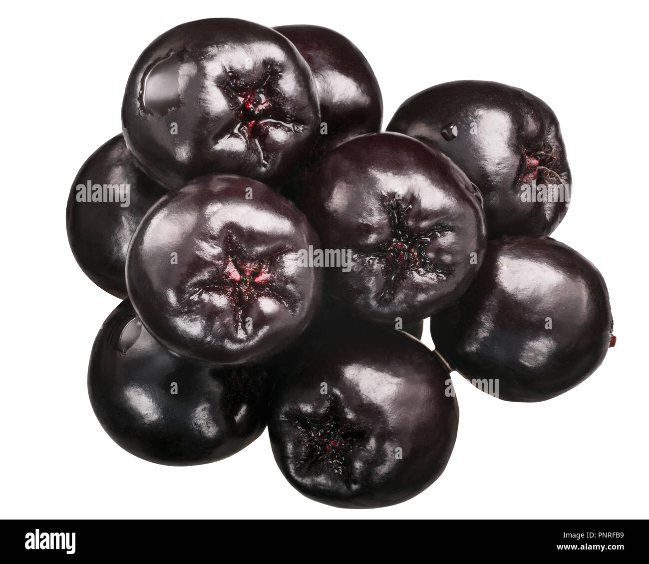Black chokeberries (Aronia melanocarpa fruits), pile of, top view Stock ...