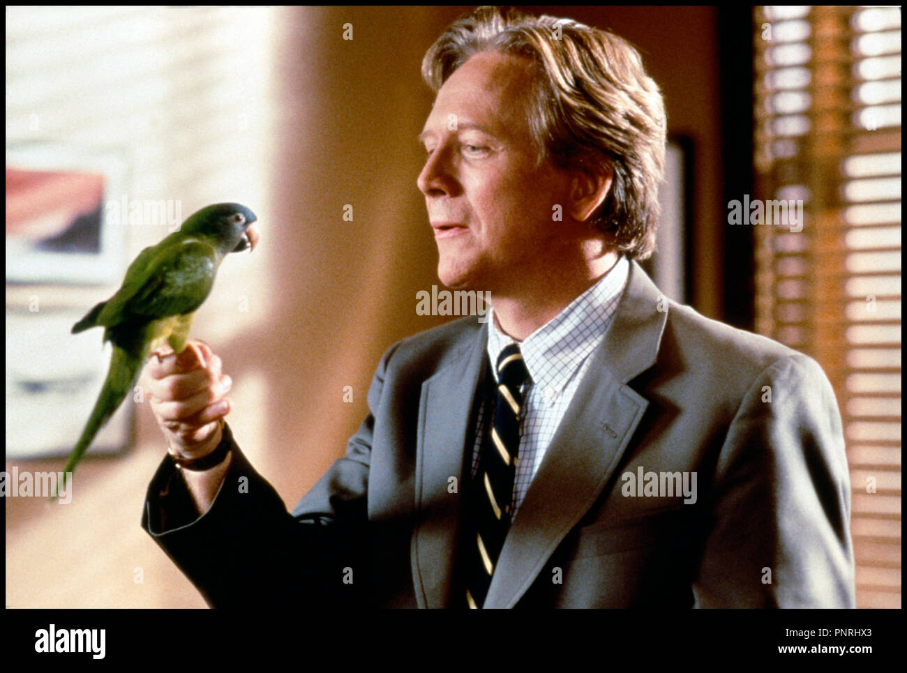 Paulie Stock Photos & Paulie Stock Images - Alamy