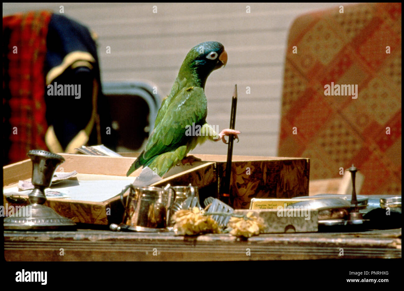 Paulie Paulie 1998 Stock Photos & Paulie Paulie 1998 Stock Images - Alamy
