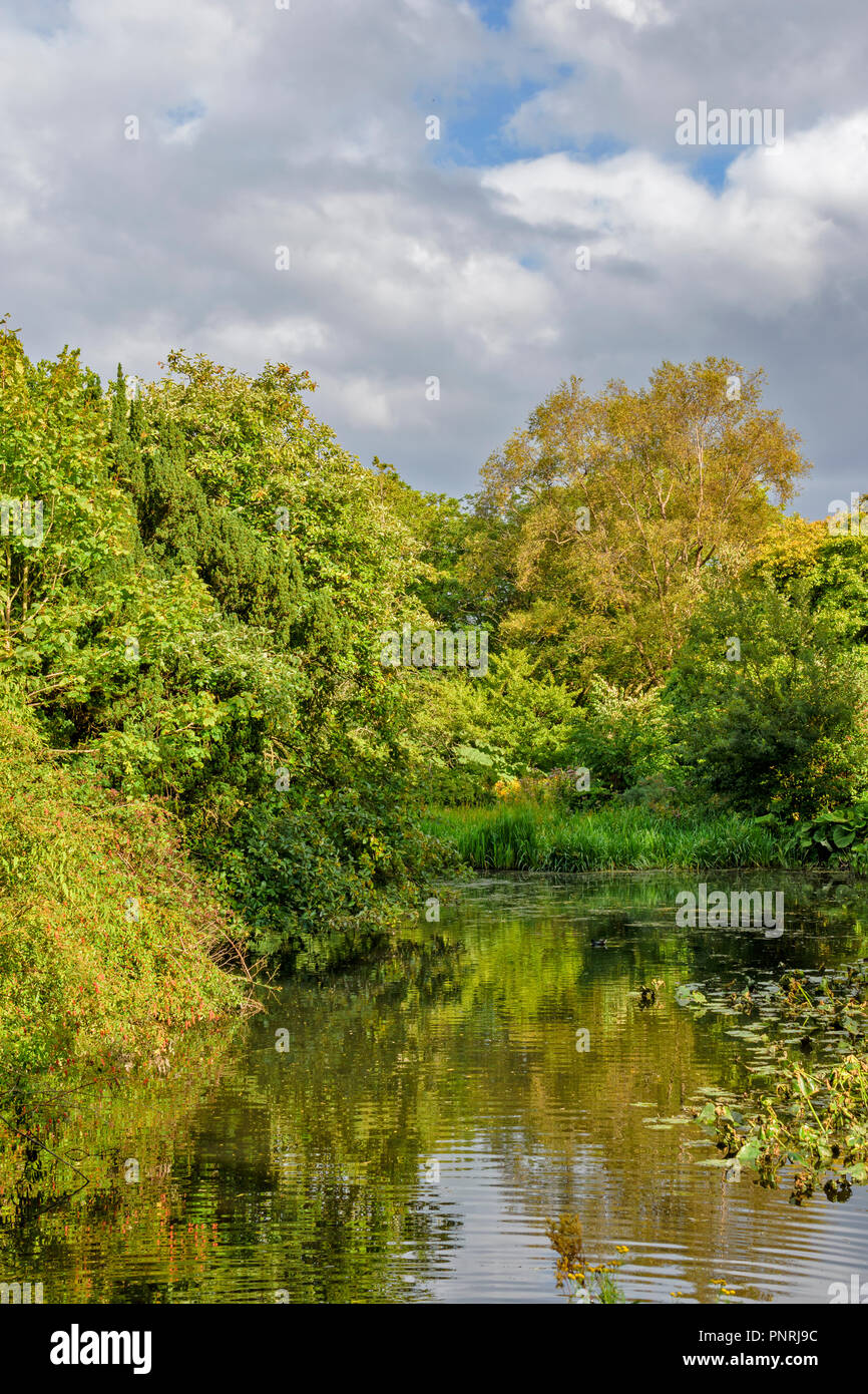 EDINBURGH SCOTLAND THE BOTANIC GARDENS AND POND OR SMALL LAKE Stock ...