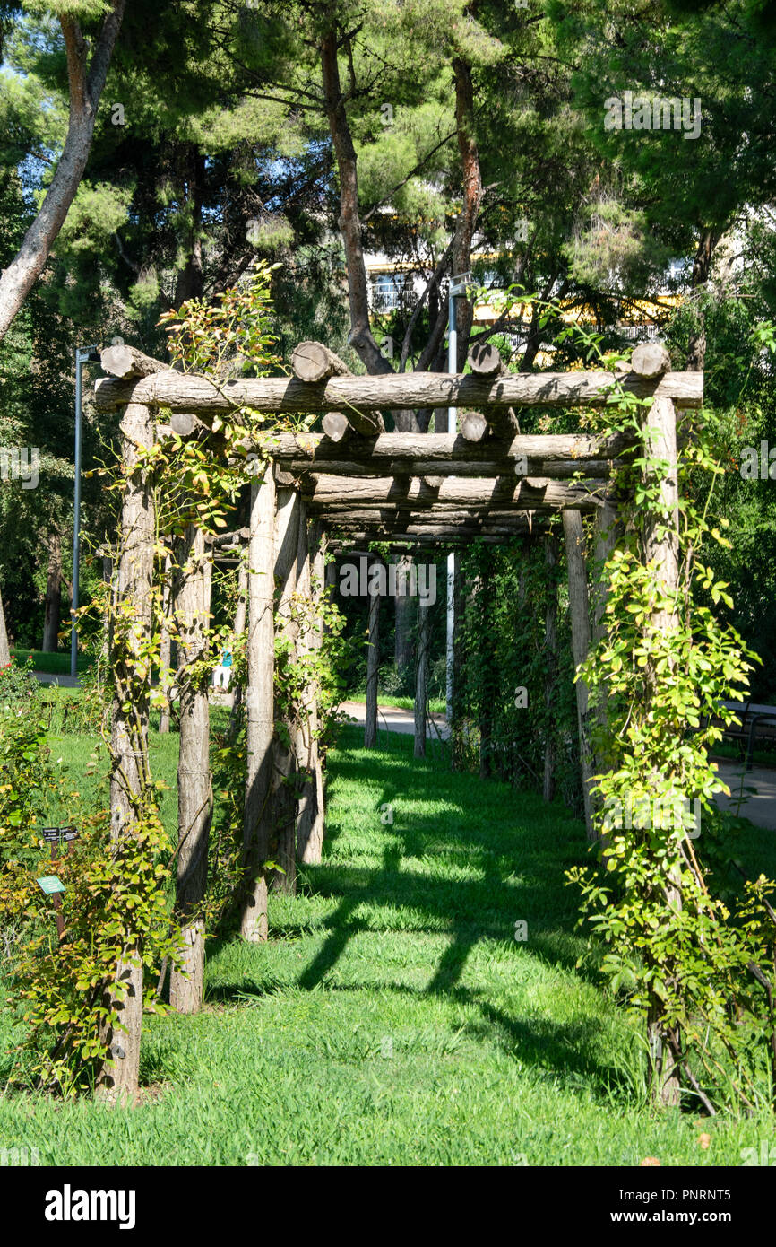 Trees forming tunnel hi-res stock photography and images - Alamy