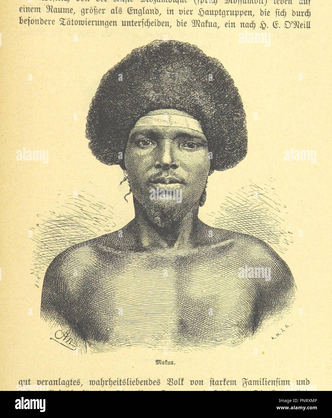 Image from page 365 of 'Der Mensch und seine Rassen. Mit ...