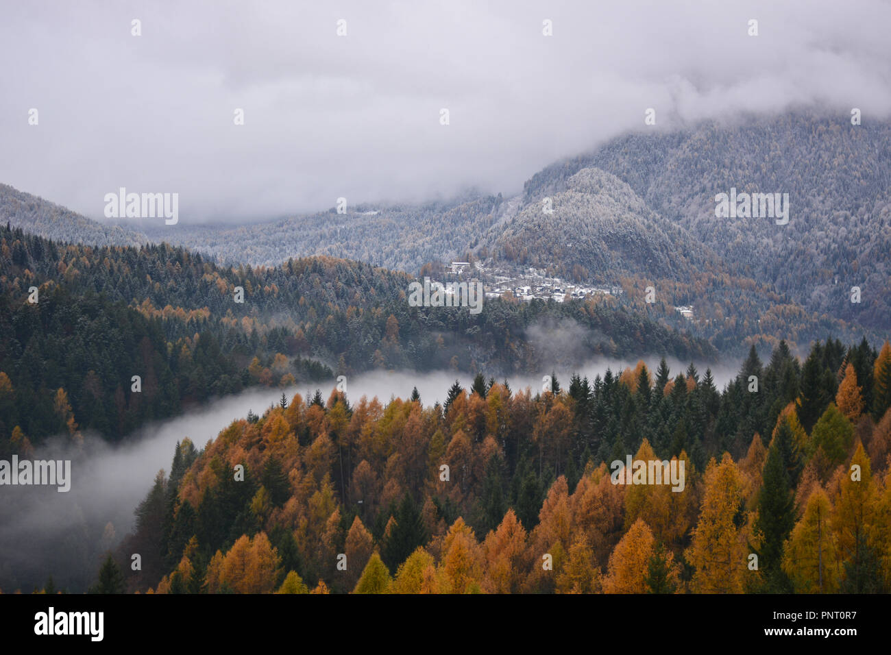 the fog of the river divides the autumn from the winter Stock Photo - Alamy