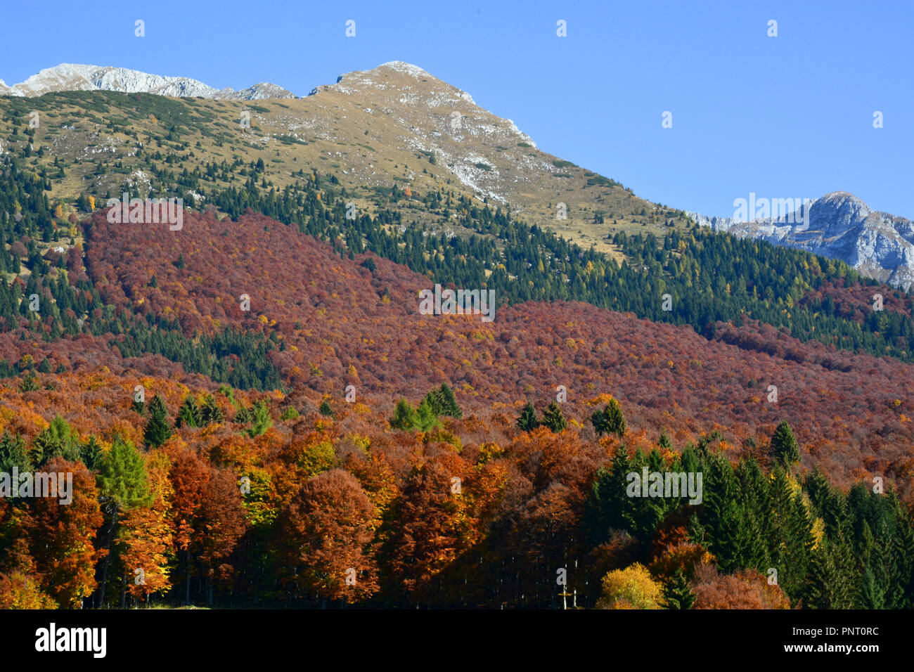 Edmonton landscapes hi-res stock photography and images - Alamy