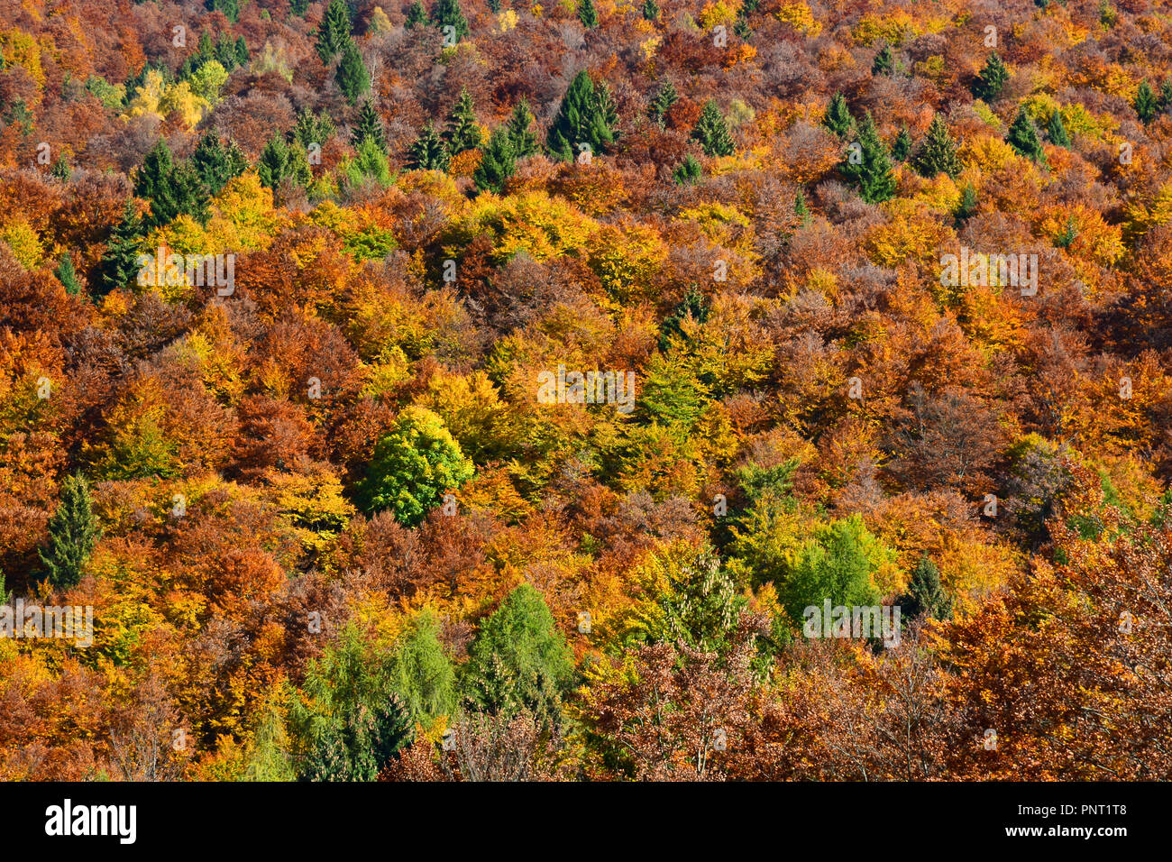 Edmonton landscapes hi-res stock photography and images - Alamy
