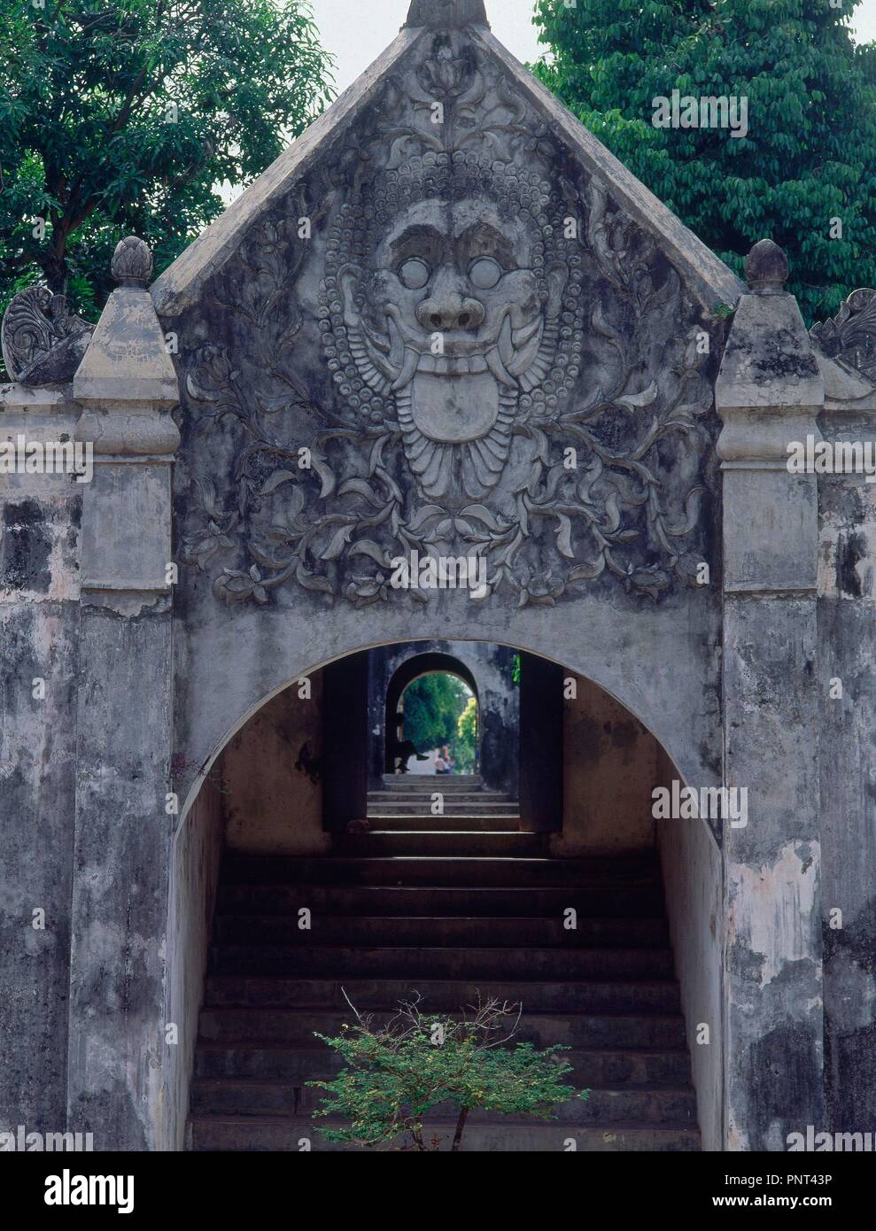 Rey de java hi-res stock photography and images - Alamy