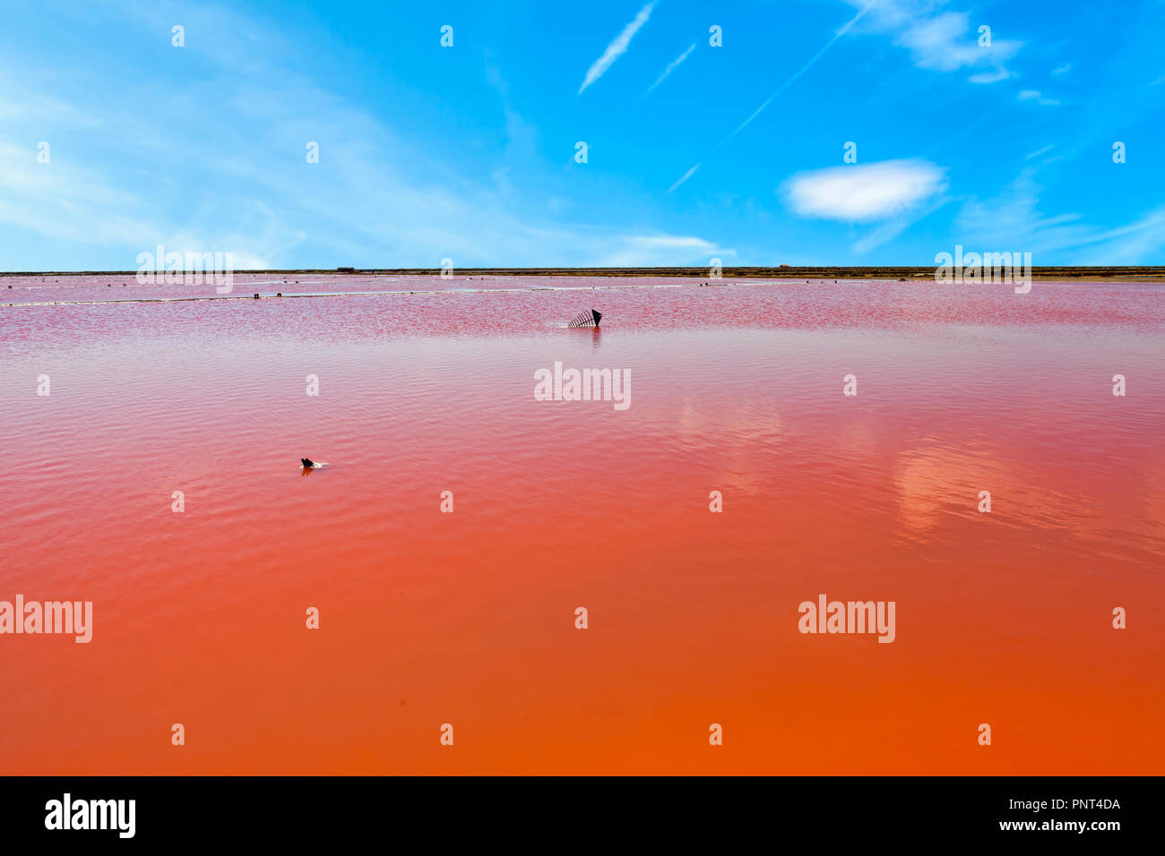 Seawater basin hi-res stock photography and images - Alamy