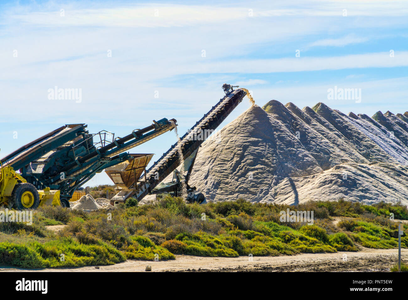 Salt production in the Saline "Saint-Martin in Gruissan. With excavator ...