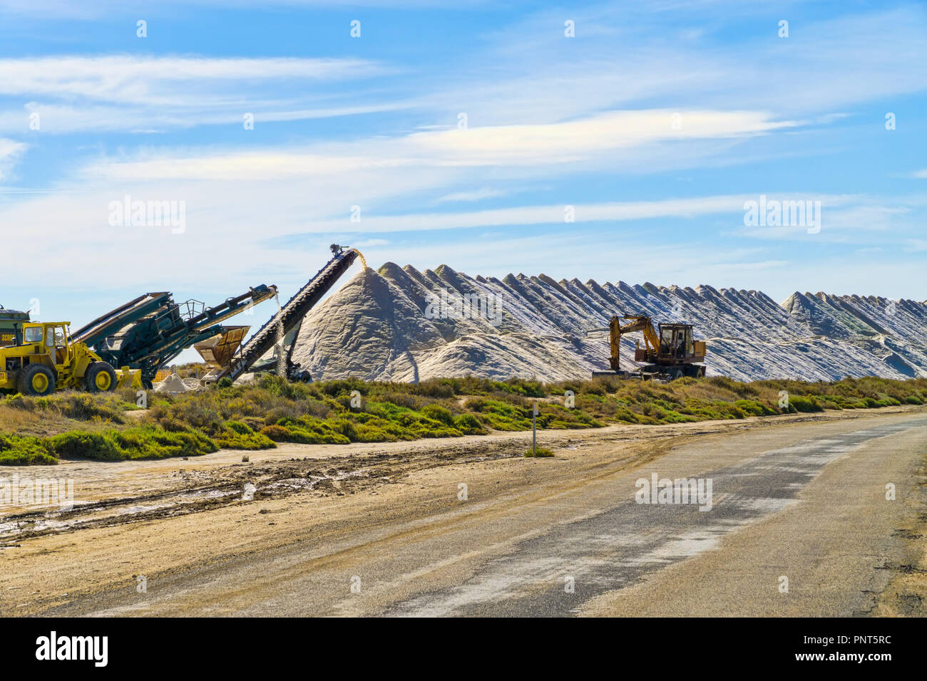 Salt production in the Saline "Saint-Martin in Gruissan. With excavator ...