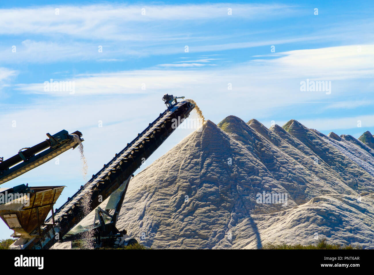 Salt production in the Saline "Saint-Martin in Gruissan. With excavator ...