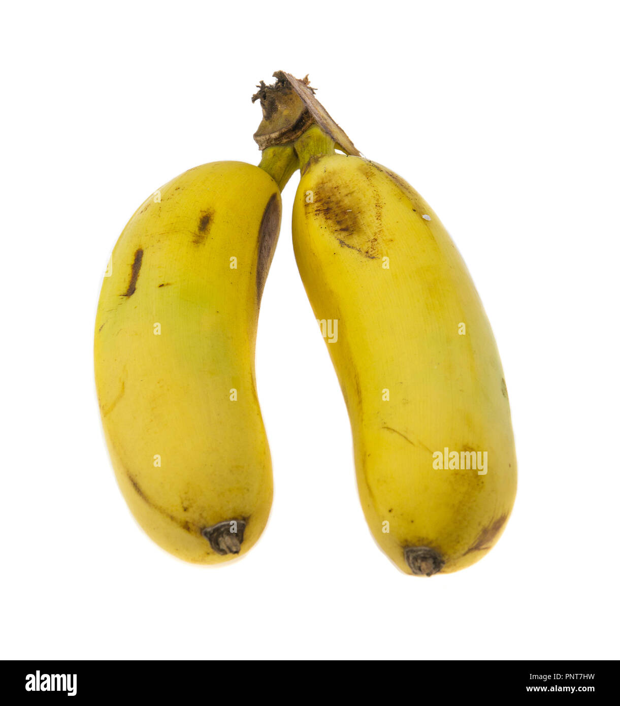 Bunch of two bananas isolated on white background Stock Photo - Alamy