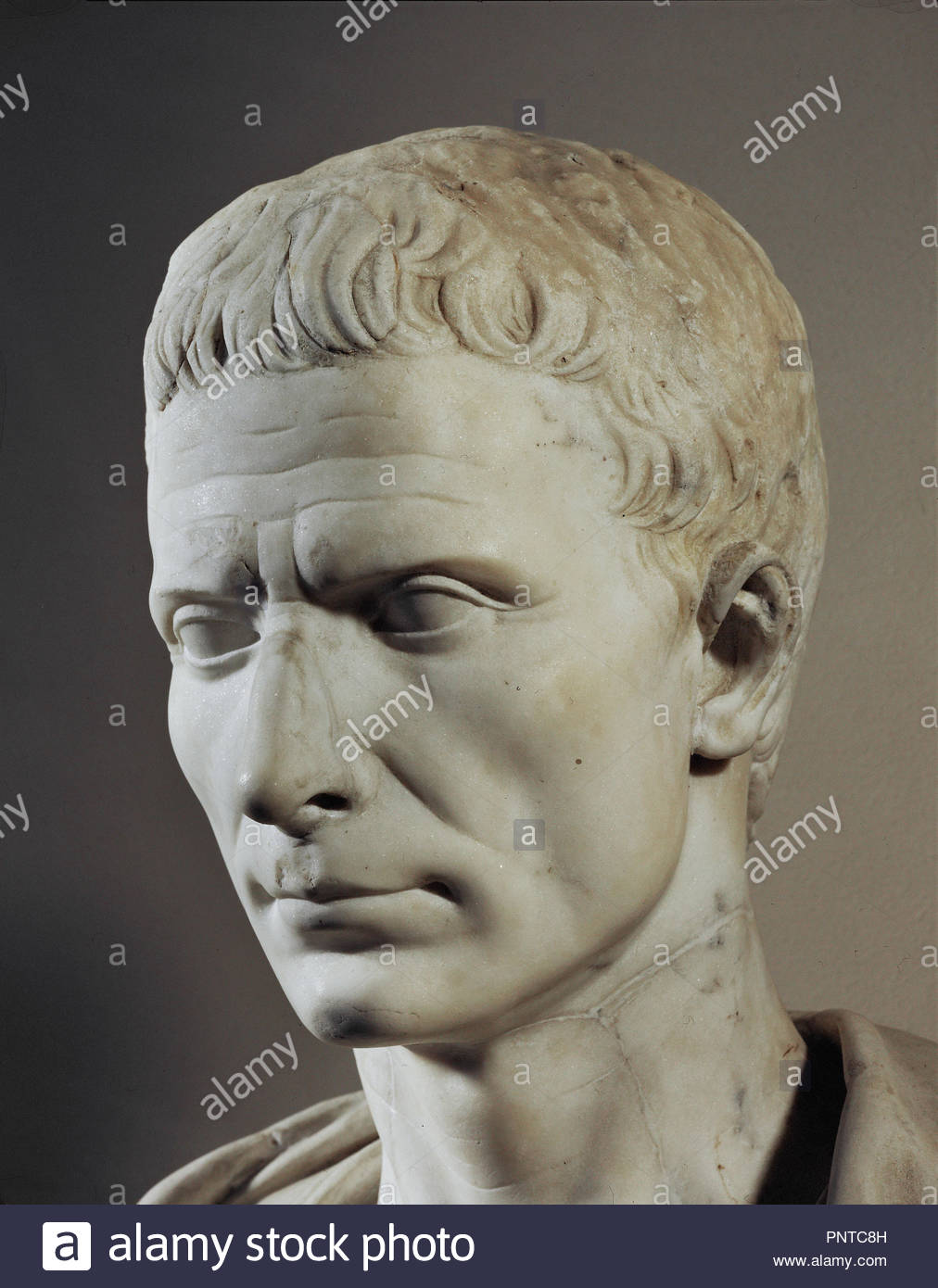 Julius Caesar Bust Museum Stock Photos & Julius Caesar Bust Museum ...