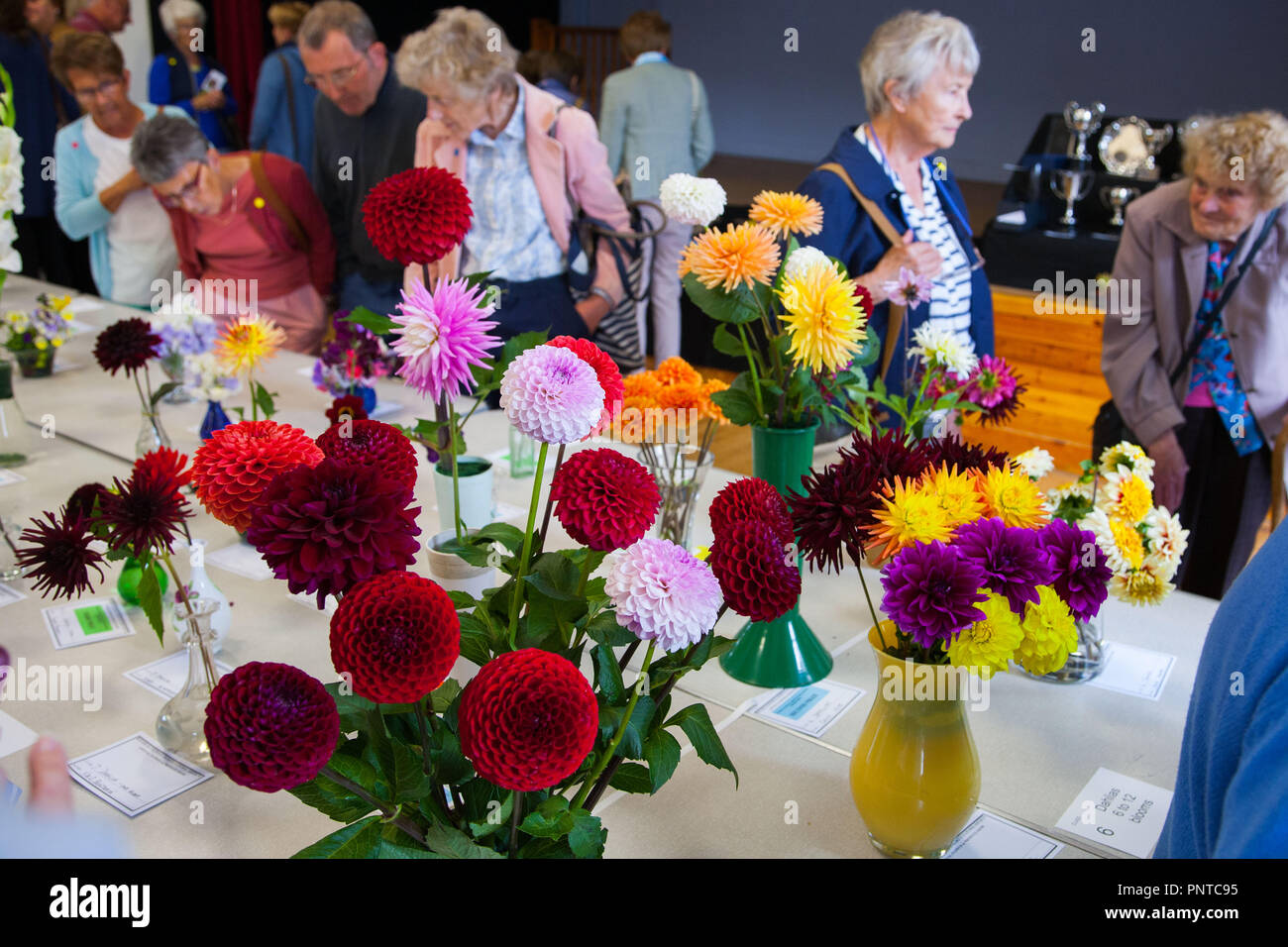 Village Flower Show High Resolution Stock Photography and Images - Alamy
