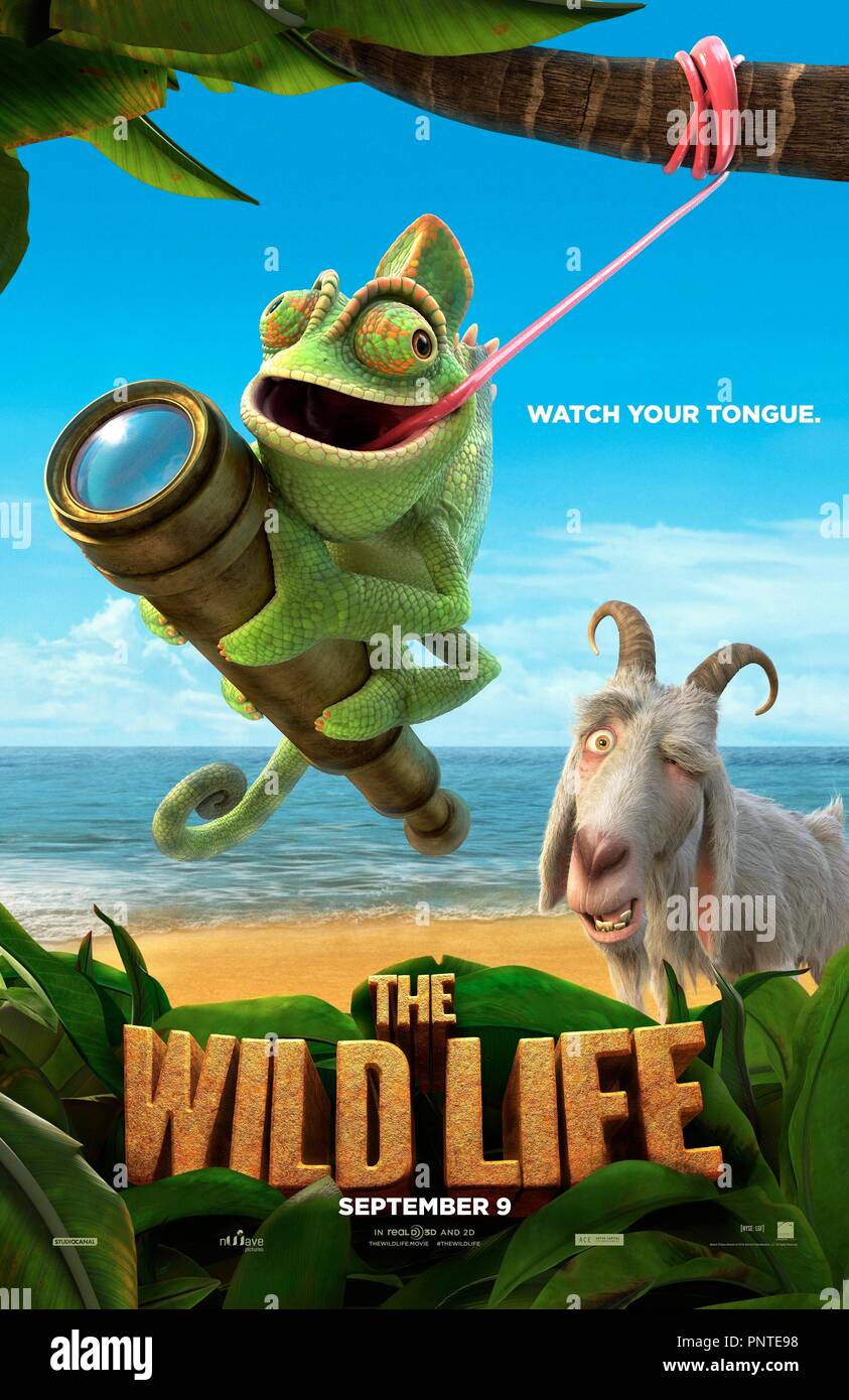 Nwave pictures hi-res stock photography and images - Alamy