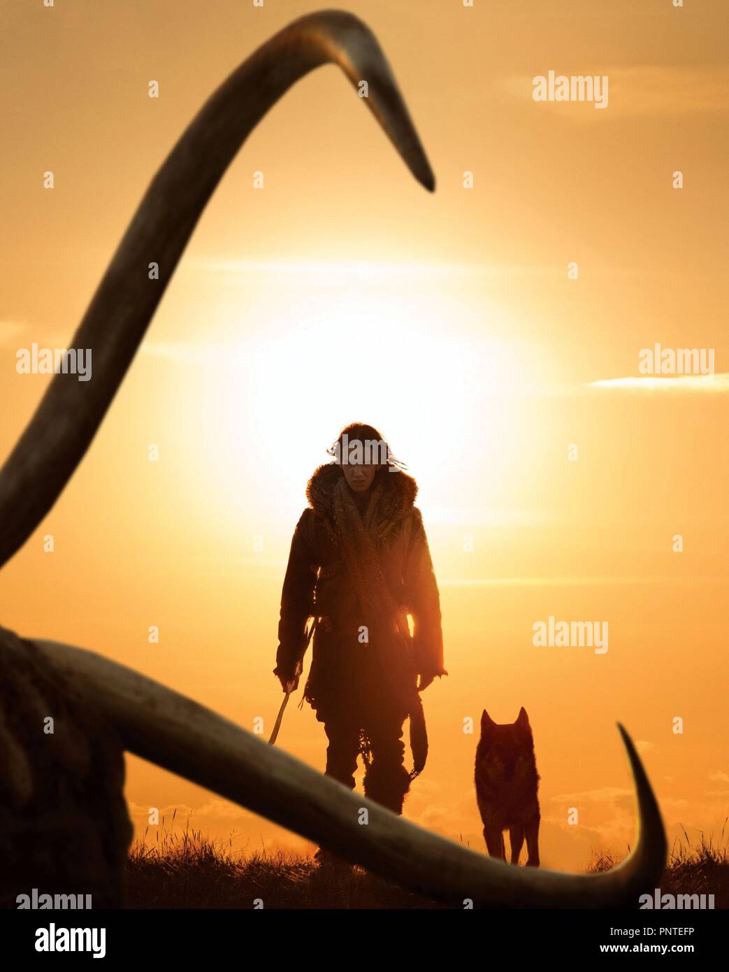 Original film title: ALPHA. English title: ALPHA. Year: 2018. Director ...