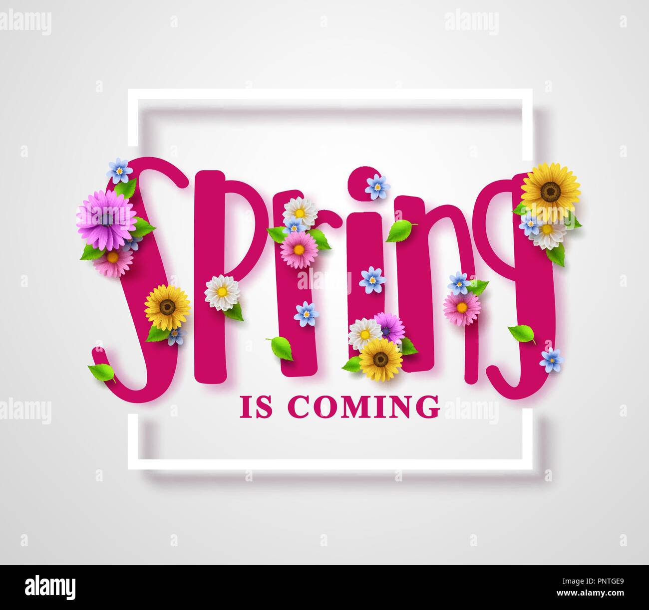 Spring is coming vector banner with text, colorful various flowers ...