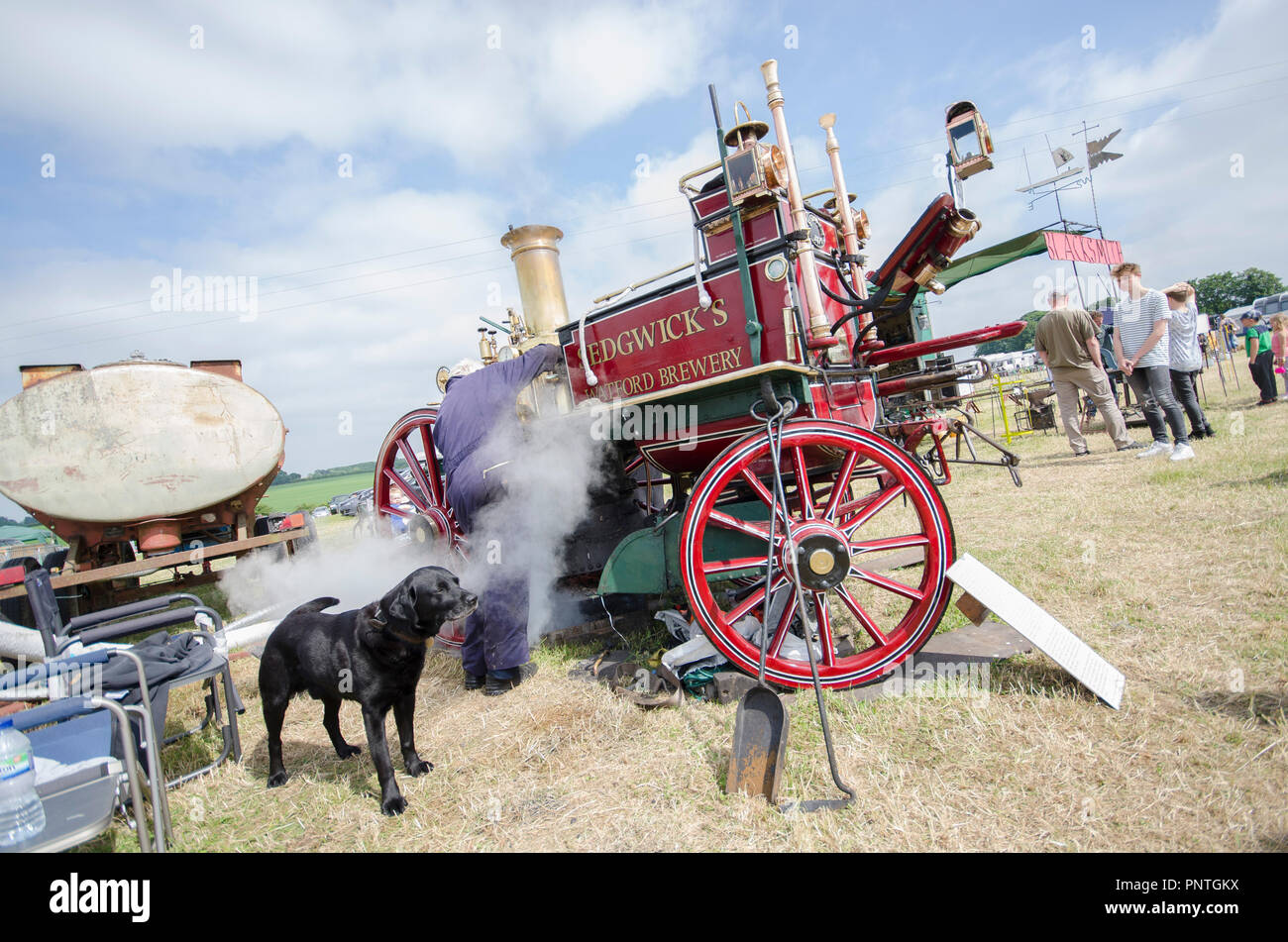 Steam Fayre Event in Hertfordshire, display of Tractors and Steam ...