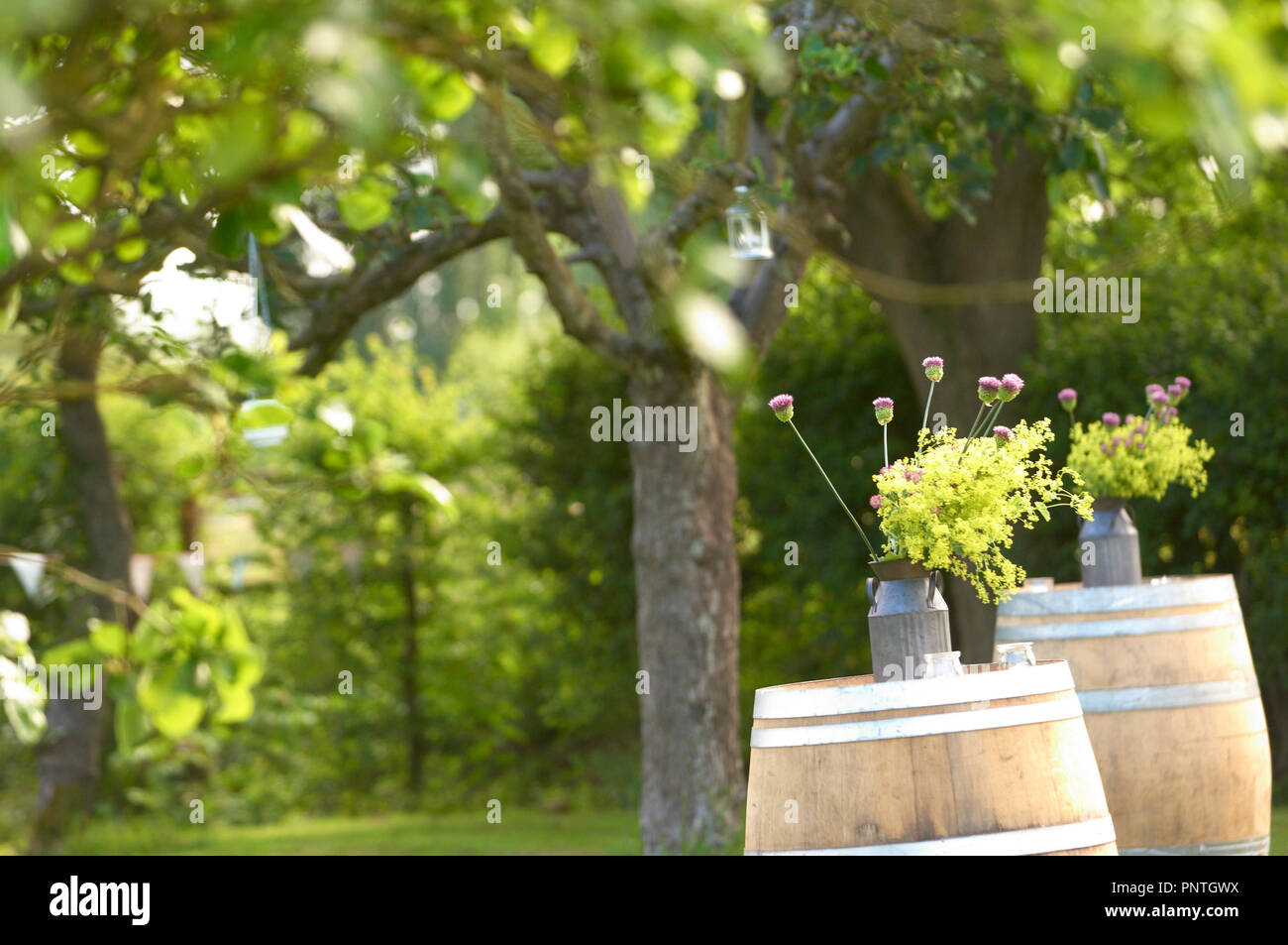 The wild kitchen garden hi-res stock photography and images - Alamy