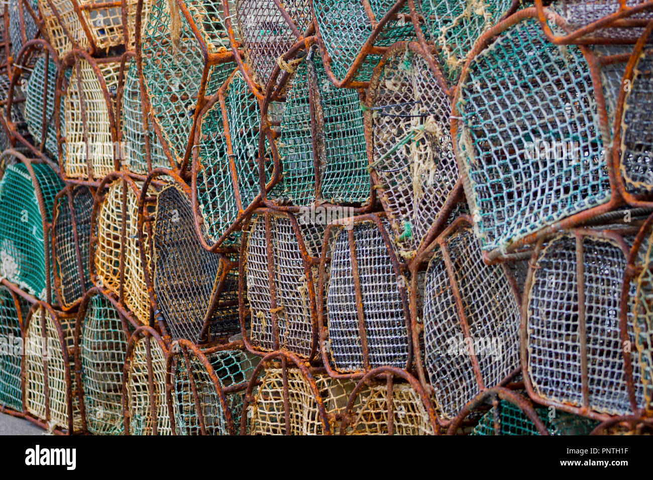 Octopus trap hi-res stock photography and images - Alamy