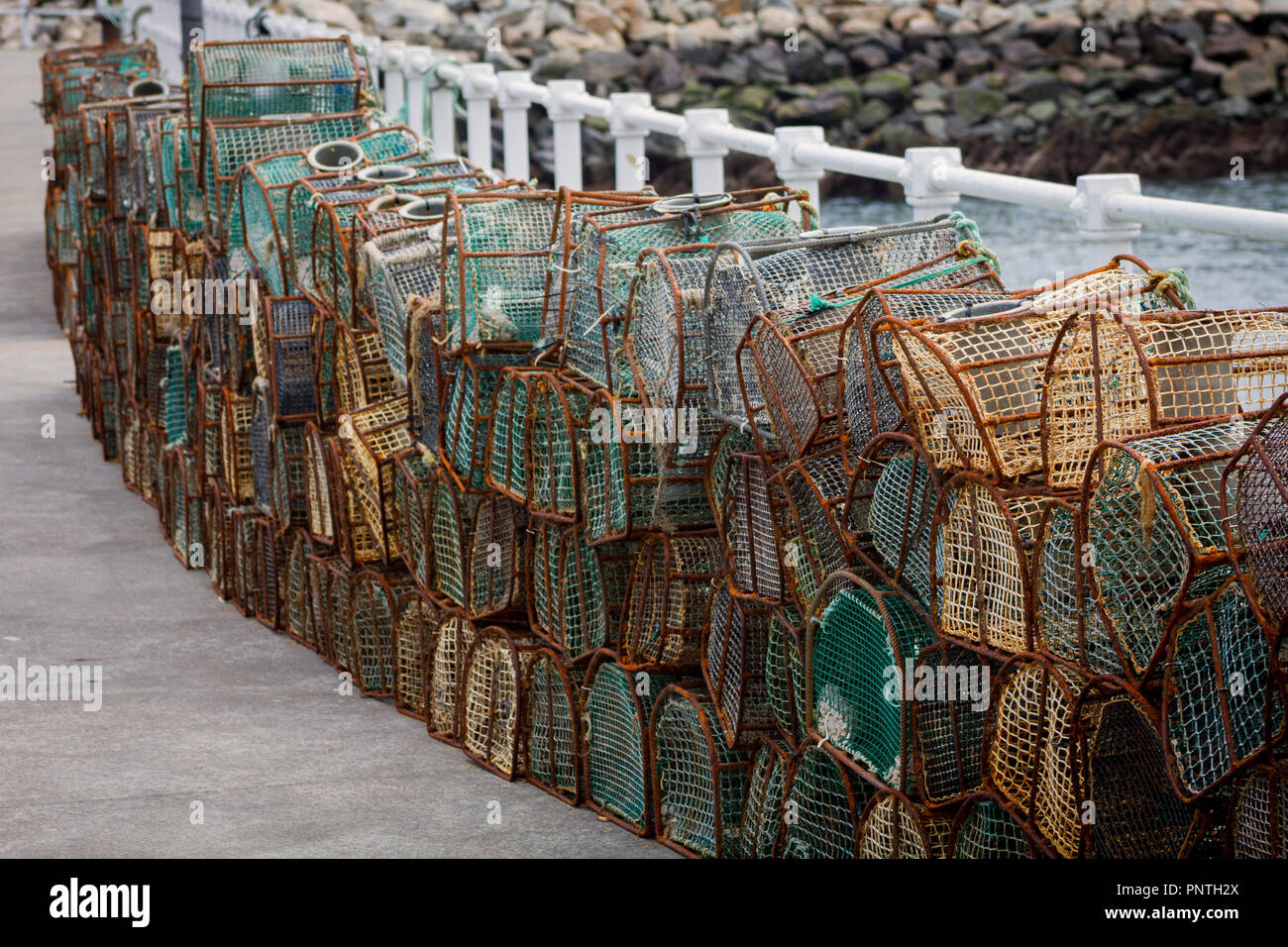 Puerto de Vega, Asturias, Spain. Row of octopus traps in the harbour ...