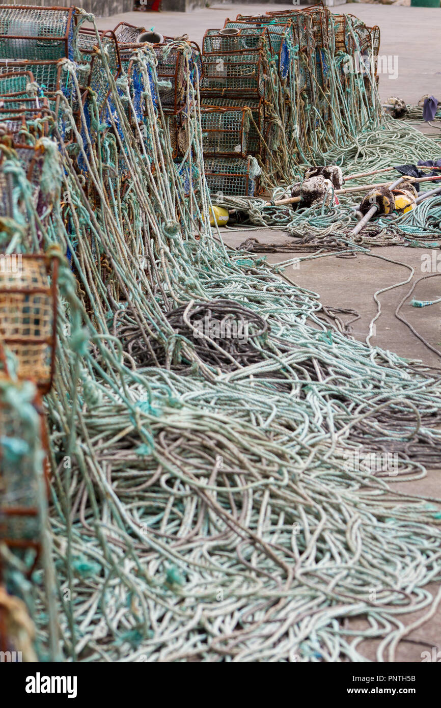 Octopus trap hi-res stock photography and images - Alamy