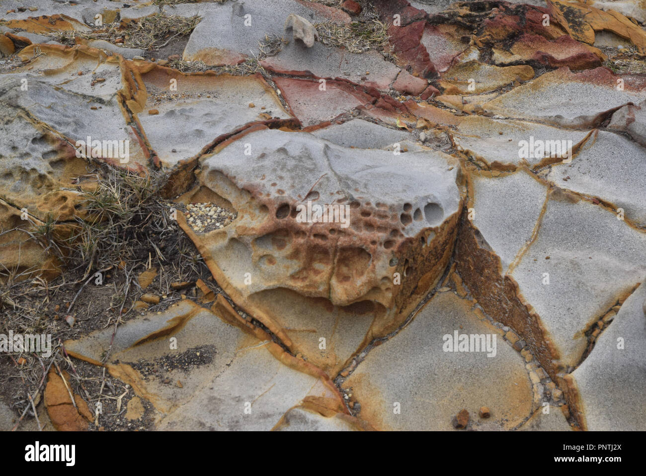Crescent head nsw hi-res stock photography and images - Alamy