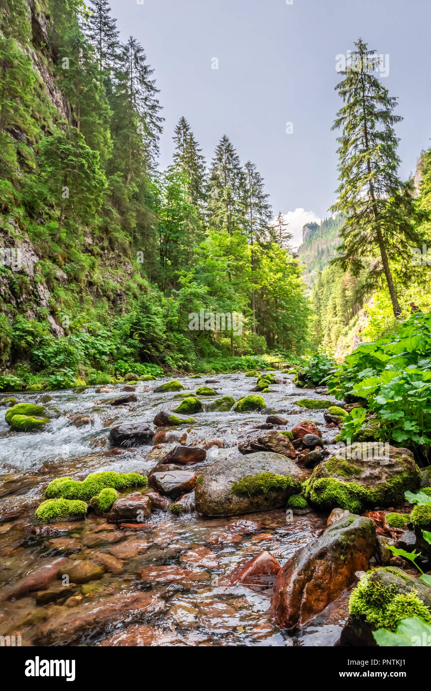 Beautiful stream valley hi-res stock photography and images - Alamy