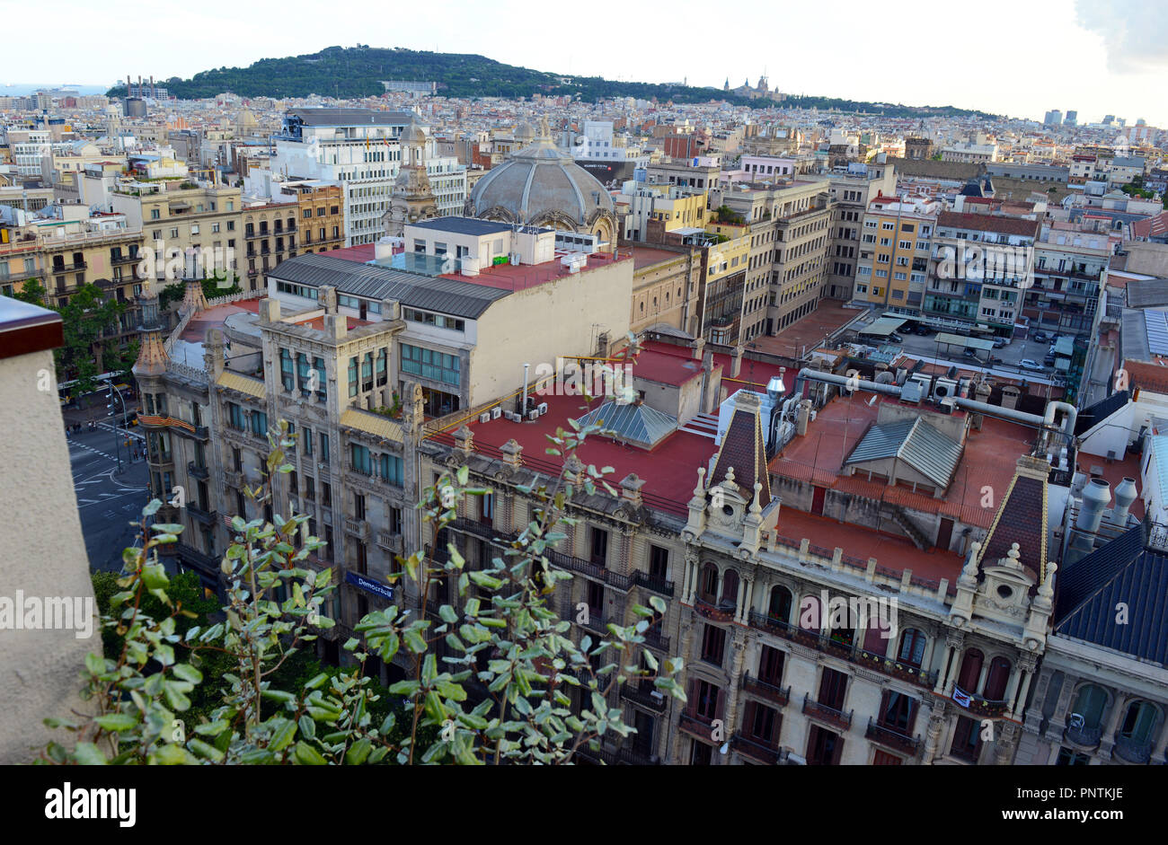 Gaudi rooftops hi-res stock photography and images - Alamy