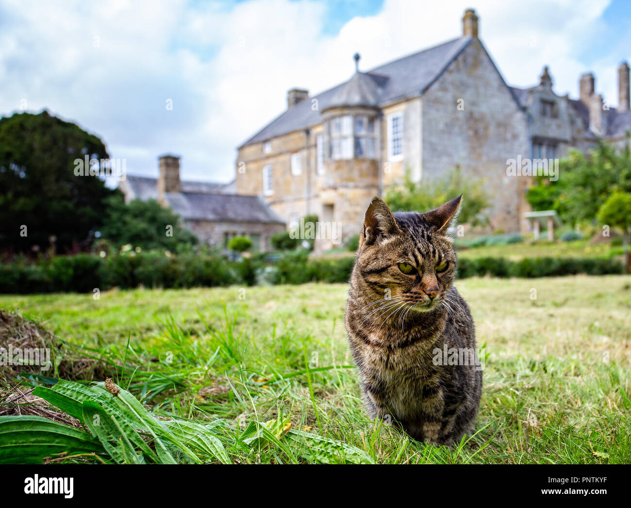 English manor house hi-res stock photography and images - Alamy