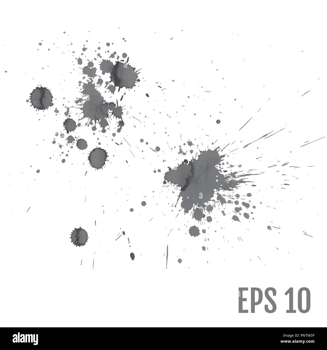 Set of gray splash on white background vector illustration. All ...
