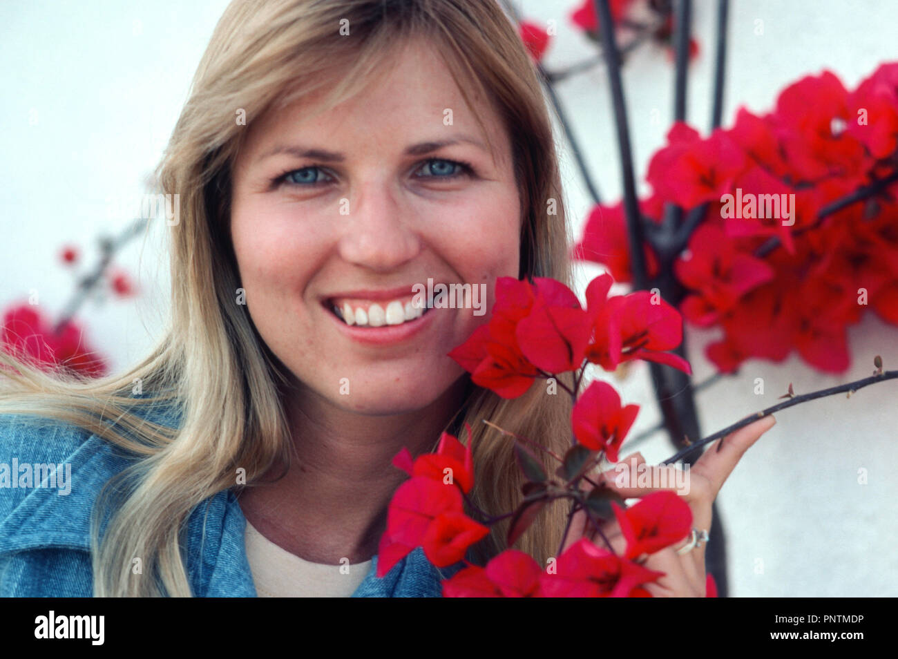 1981 season hi-res stock photography and images - Alamy