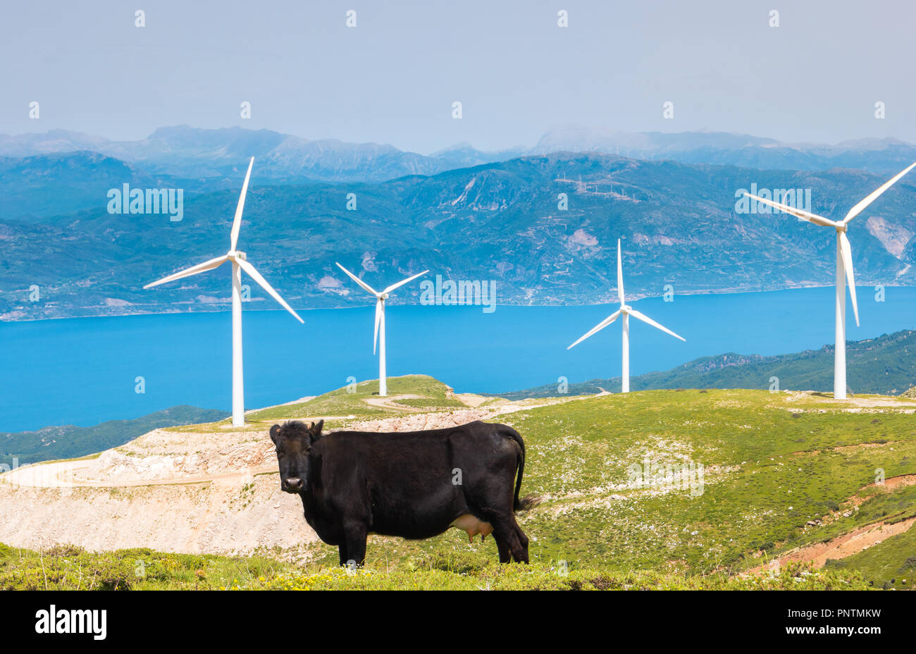 Cow power station hi-res stock photography and images - Alamy