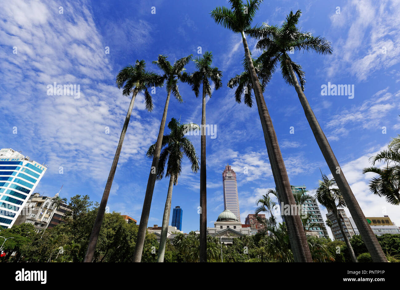 Taiwan museum hi-res stock photography and images - Alamy