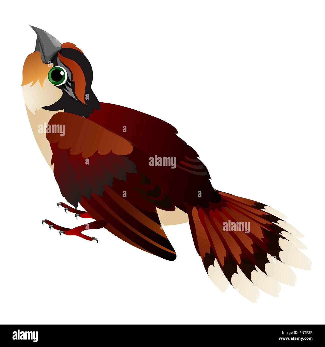 Cute animated bird isolated on white background. Vector cartoon close ...