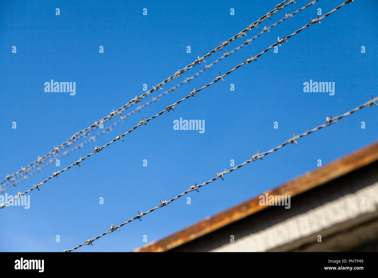 barb wire in front of blue sky Stock Photo - Alamy