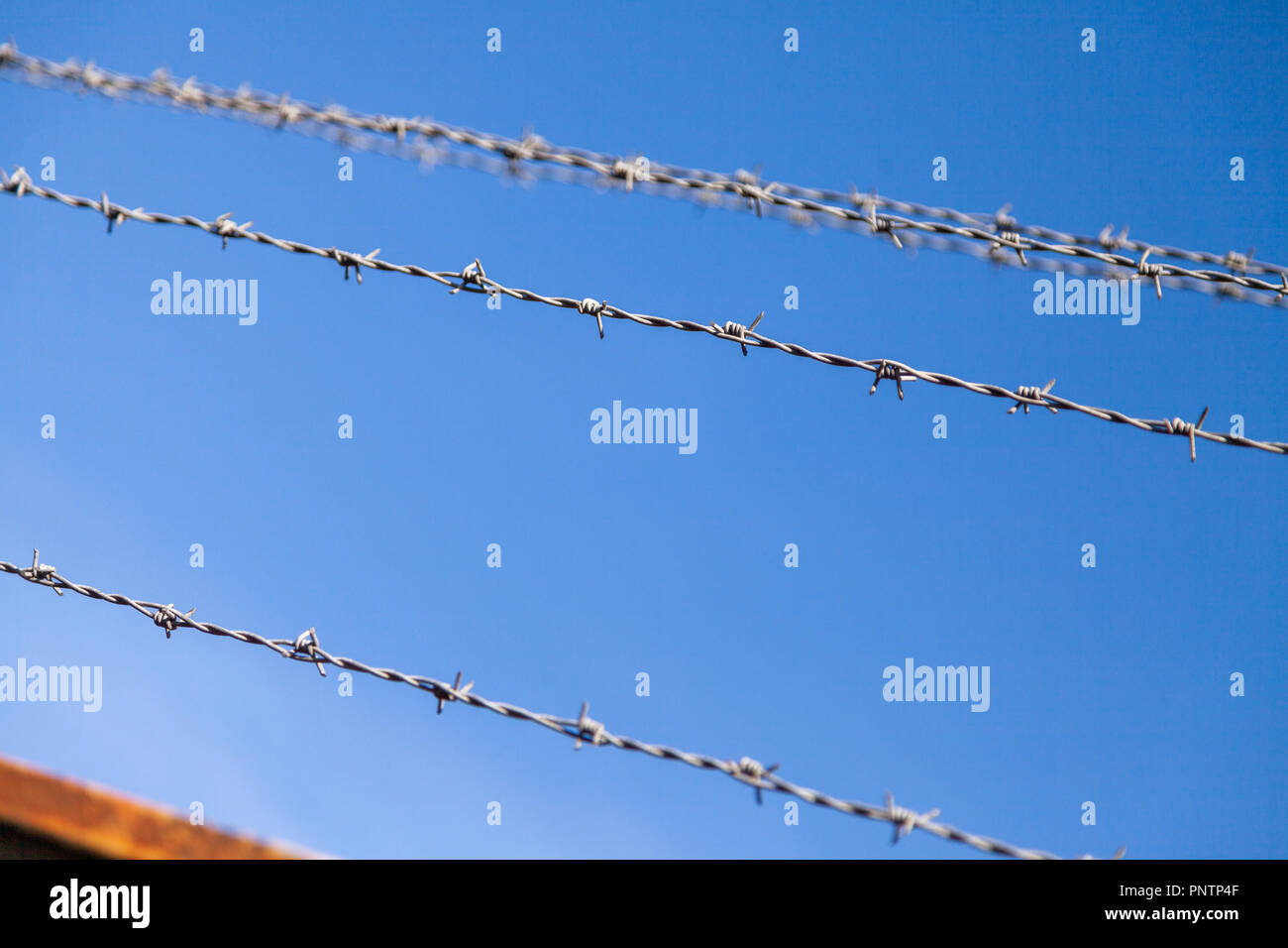 Barbed wire fence mexico hi-res stock photography and images - Alamy