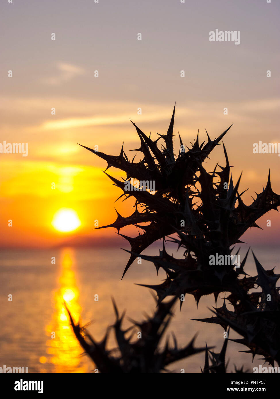 Beautiful sunset at Logas beach at Peroulades village of Corfu island ...