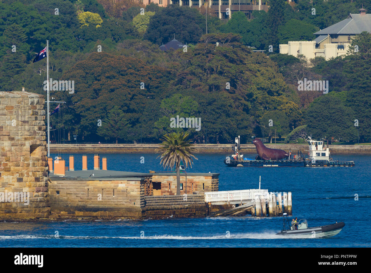 Fort Denison and the City of Sydney, Australia, seen across Sydney ...