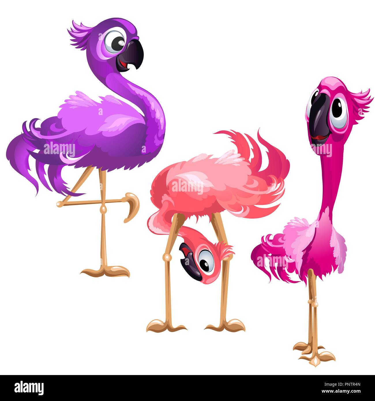 Three funny Flamingo isolated on white background. Vector cartoon close ...