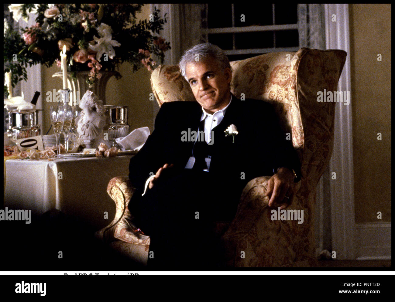 Father Of The Bride Steve Martin Stock Photos & Father Of The Bride ...