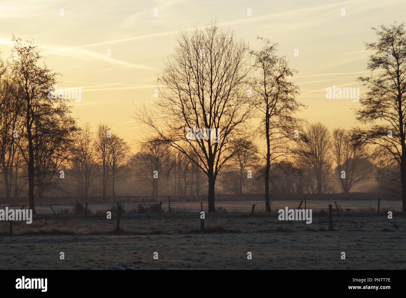 Grefrath hi-res stock photography and images - Alamy