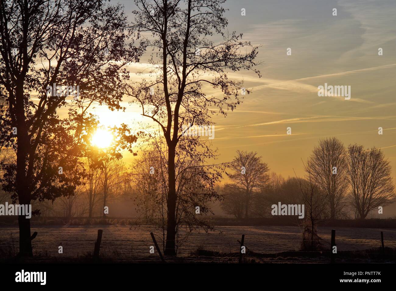 typical landscape of the lower rhine area near grefrath Stock Photo - Alamy
