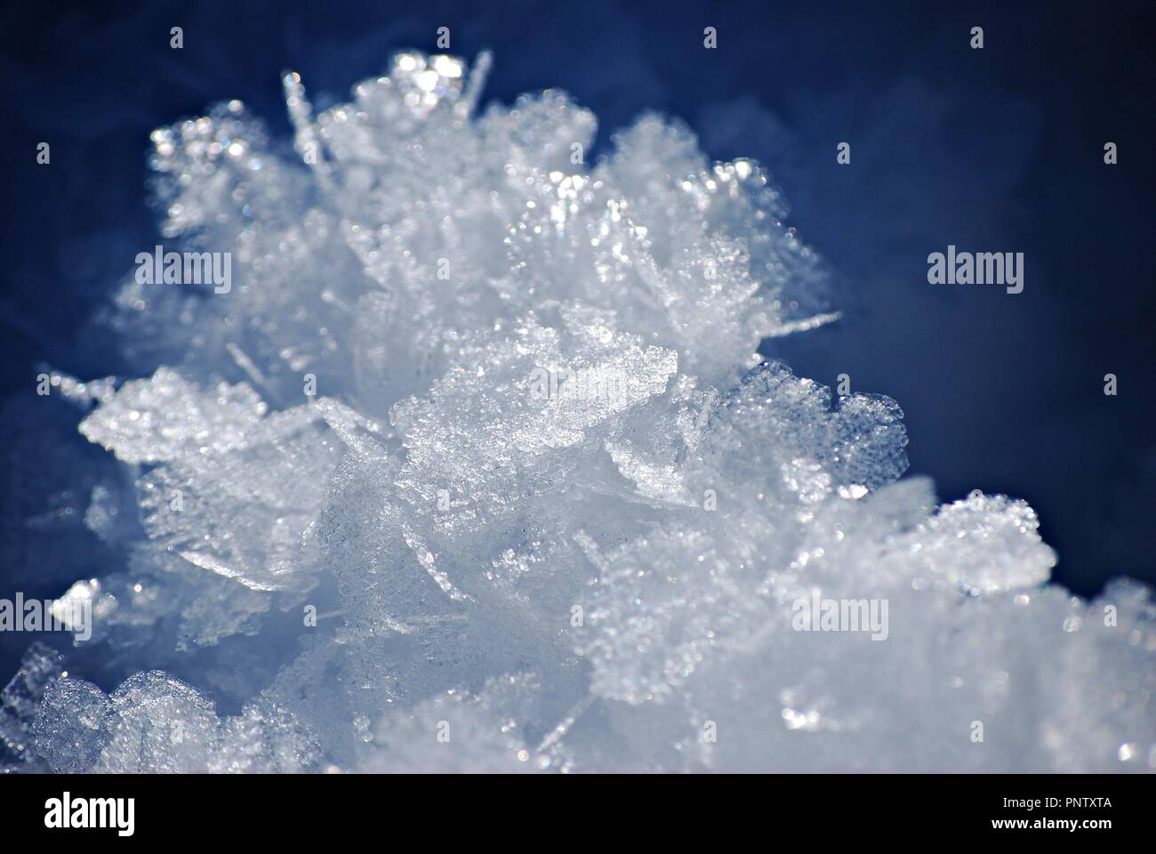 Frozen pure hi-res stock photography and images - Alamy