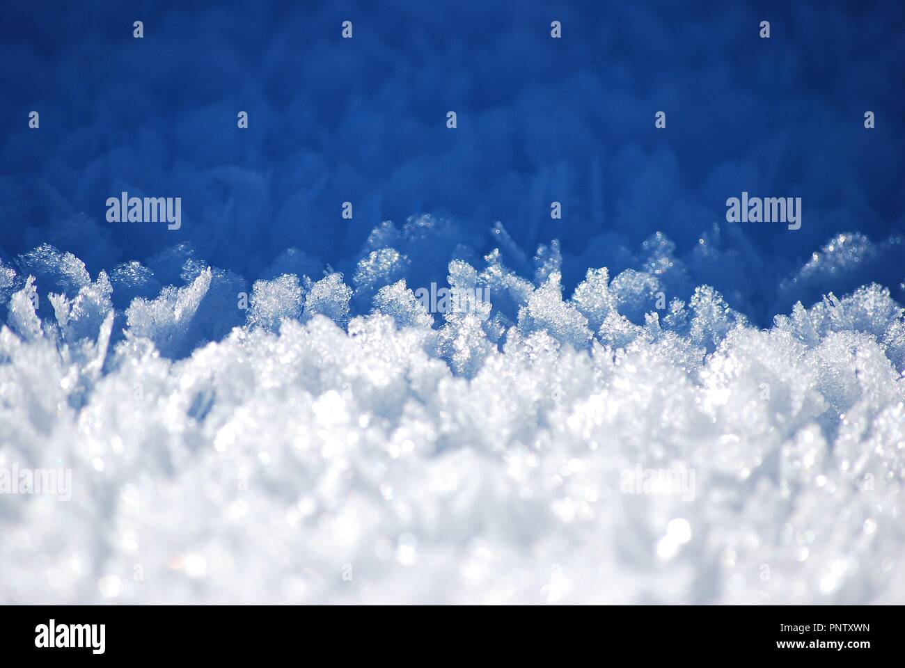 Frozen pure hi-res stock photography and images - Alamy