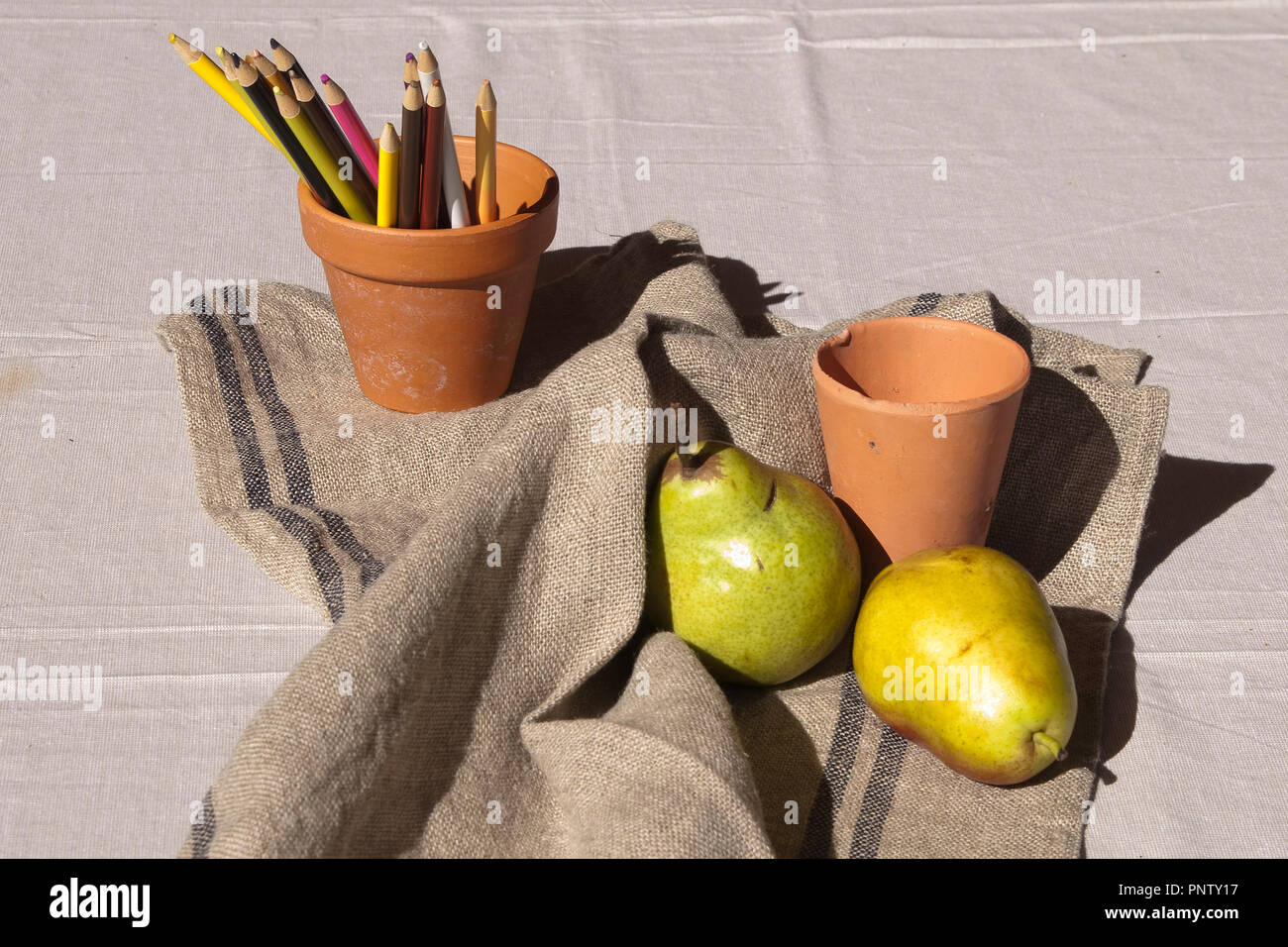 Sydney Australia, objects arranged on table for art class Stock Photo ...
