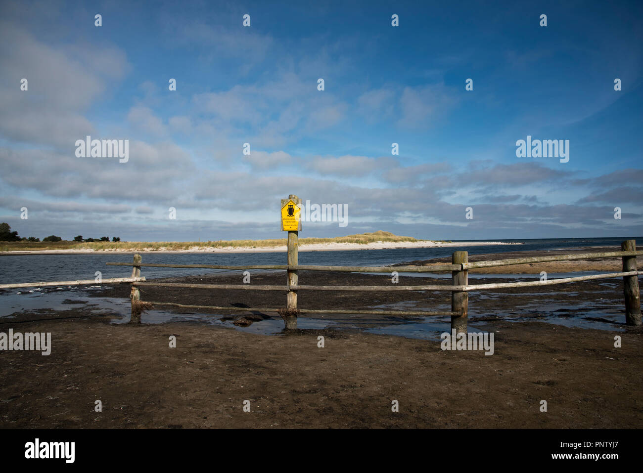 At Darßer Nothafen on Darß peninsula in Northeastern Germany the ...