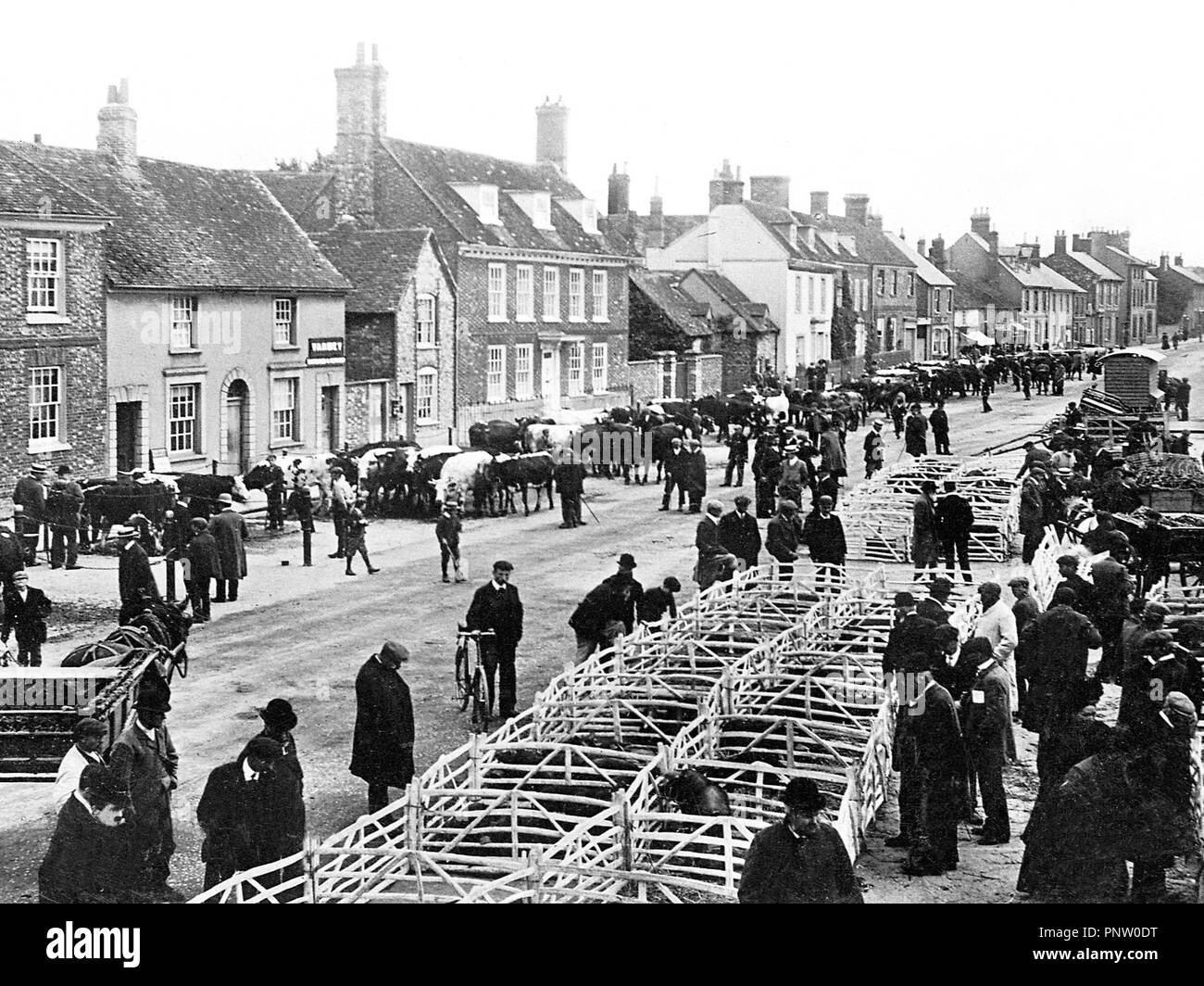 Old cattle market Black and White Stock Photos & Images - Alamy
