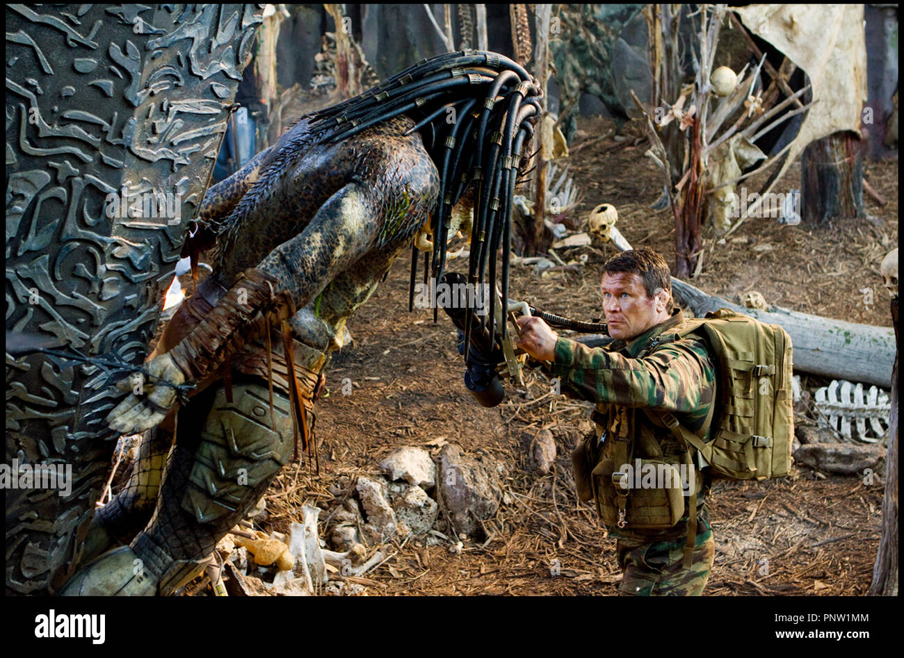 Predators 2010 Stock Photos & Predators 2010 Stock Images - Alamy