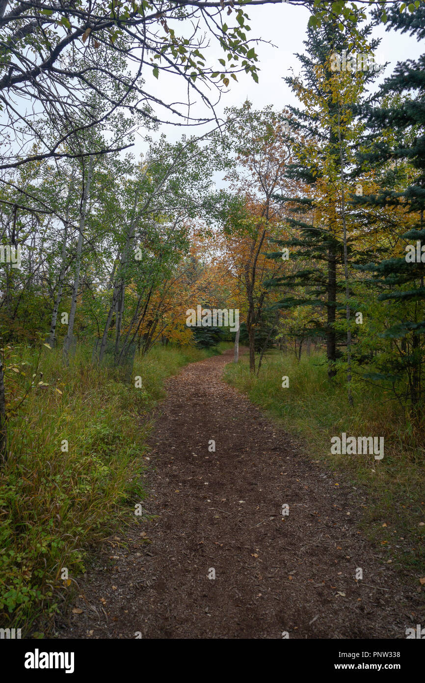 Edworthy park environment hi-res stock photography and images - Alamy