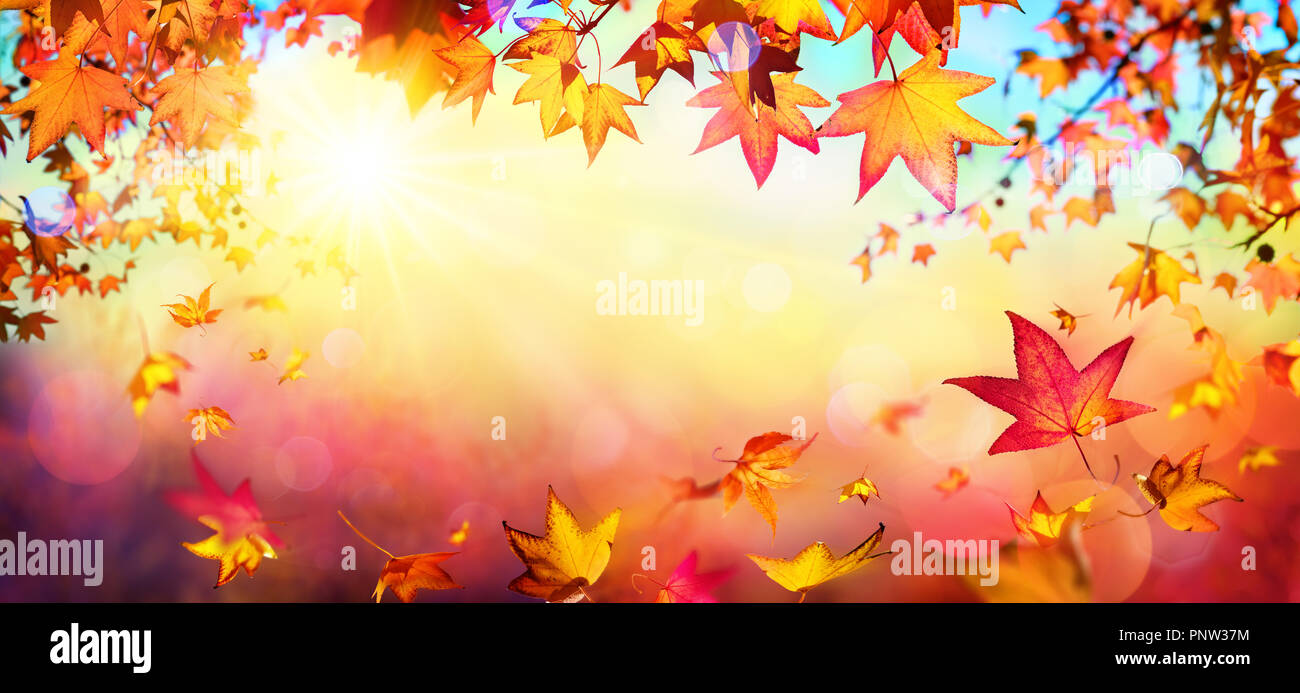 Falling Autumn Red Leaves With Sunlight - Fall Background Stock Photo ...